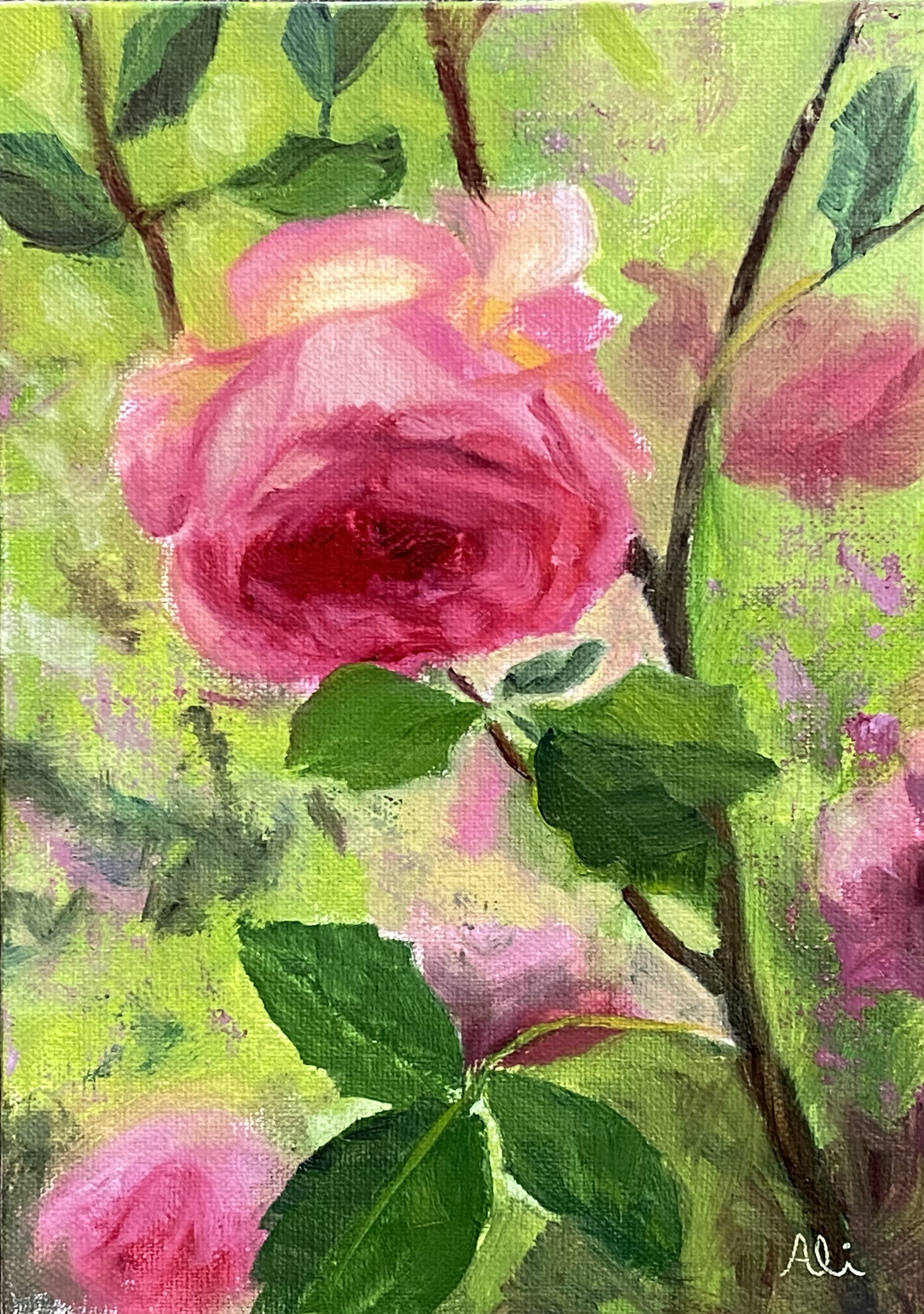 AA Co Pink Rose | Persimmon Art Gallery LLC