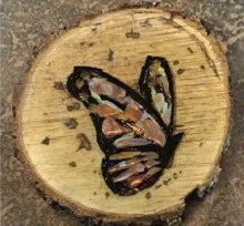 STAINED GLASS MOSAIC CLASS | Persimmon Art Gallery LLC