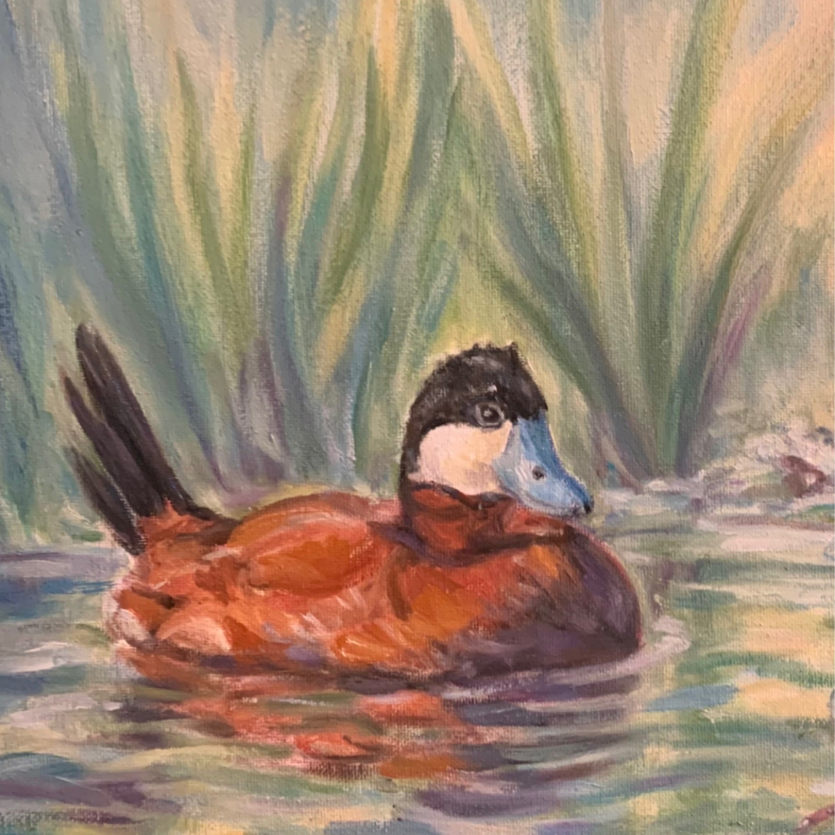Ruddy Duck Painting Class with Unni Stevens | Persimmon Art Gallery LLC
