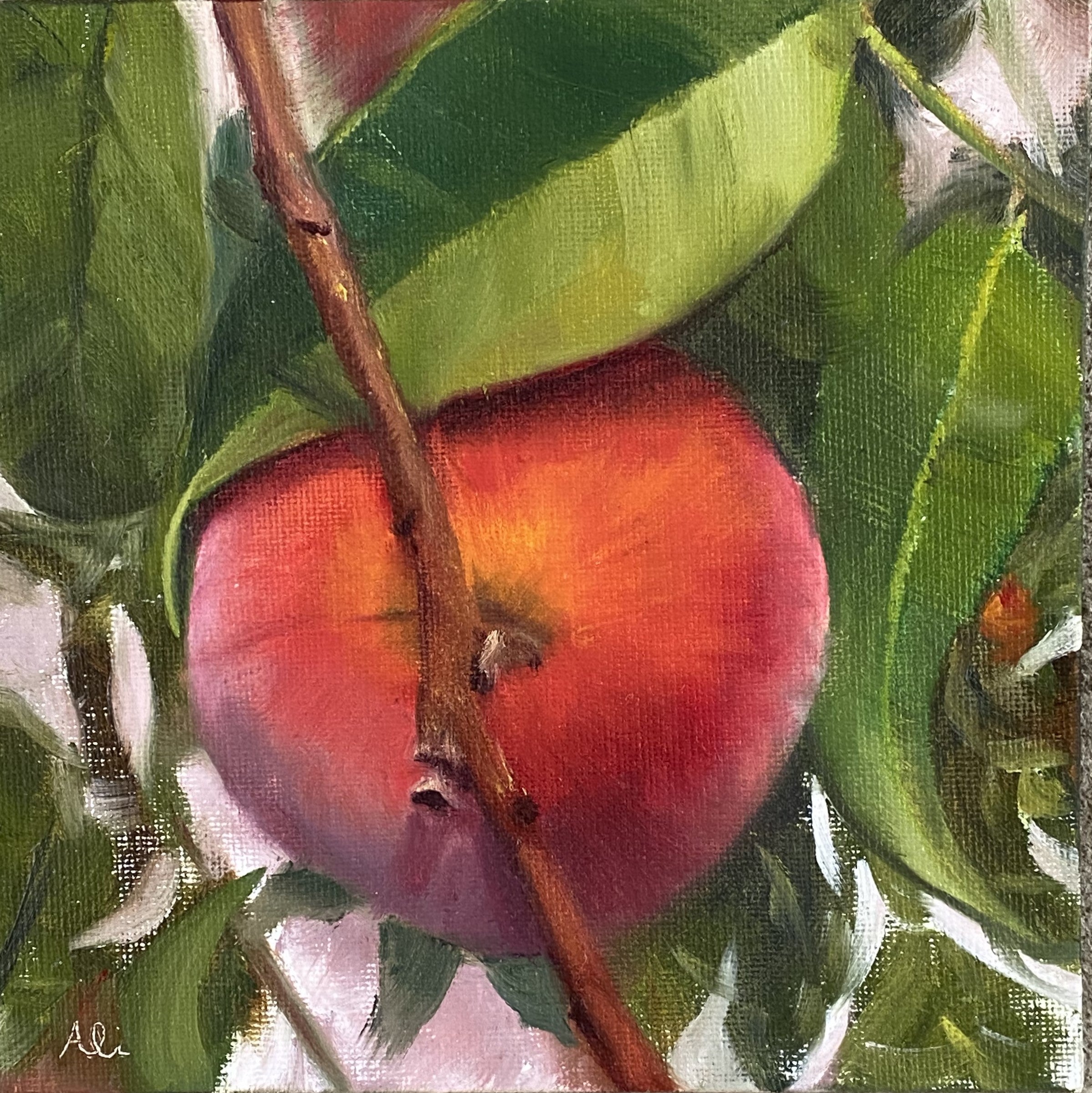 AA Co Peach | Persimmon Art Gallery LLC